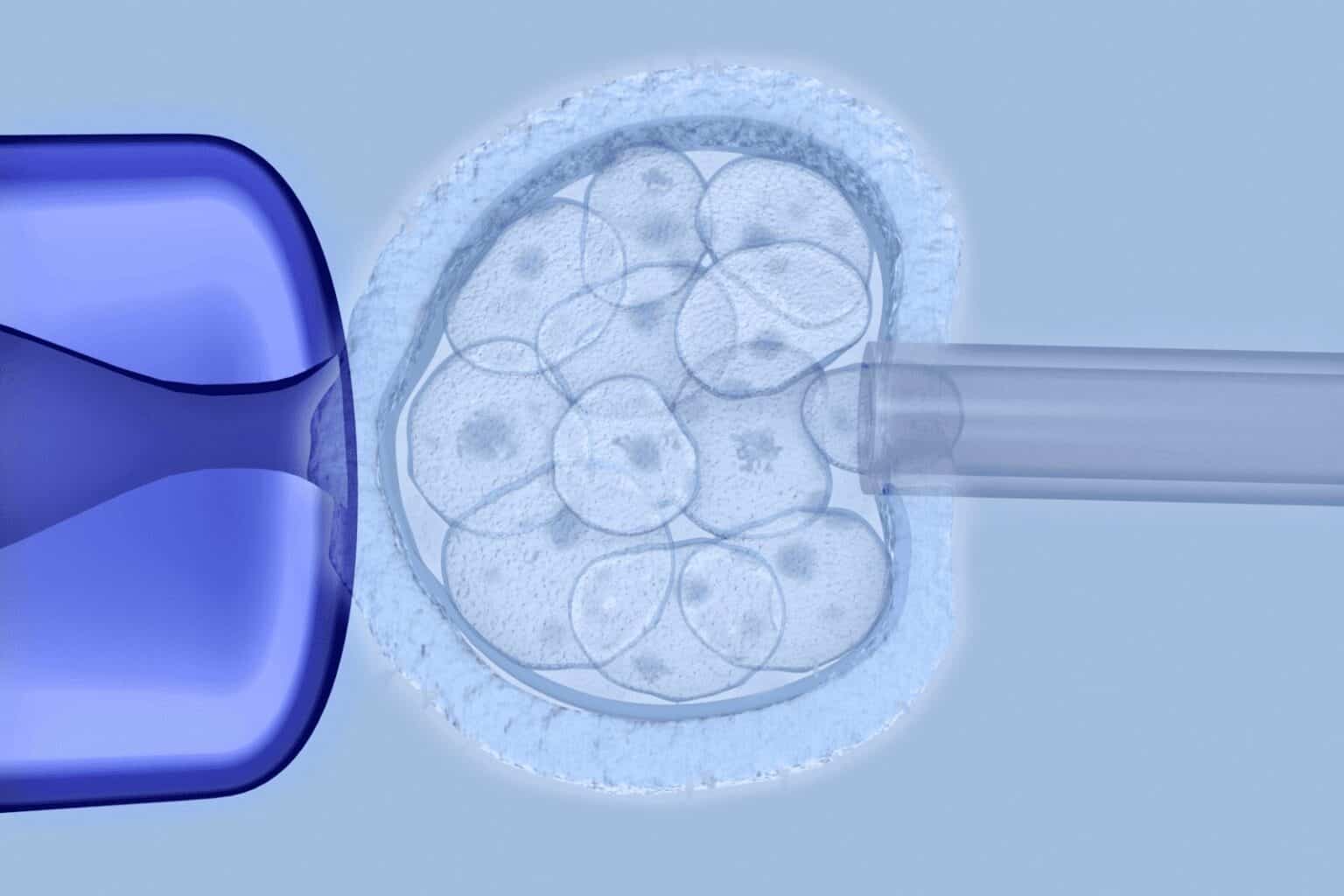 A Complete Guide to Surrogacy Embryo Transfer - Surrogacy Mama